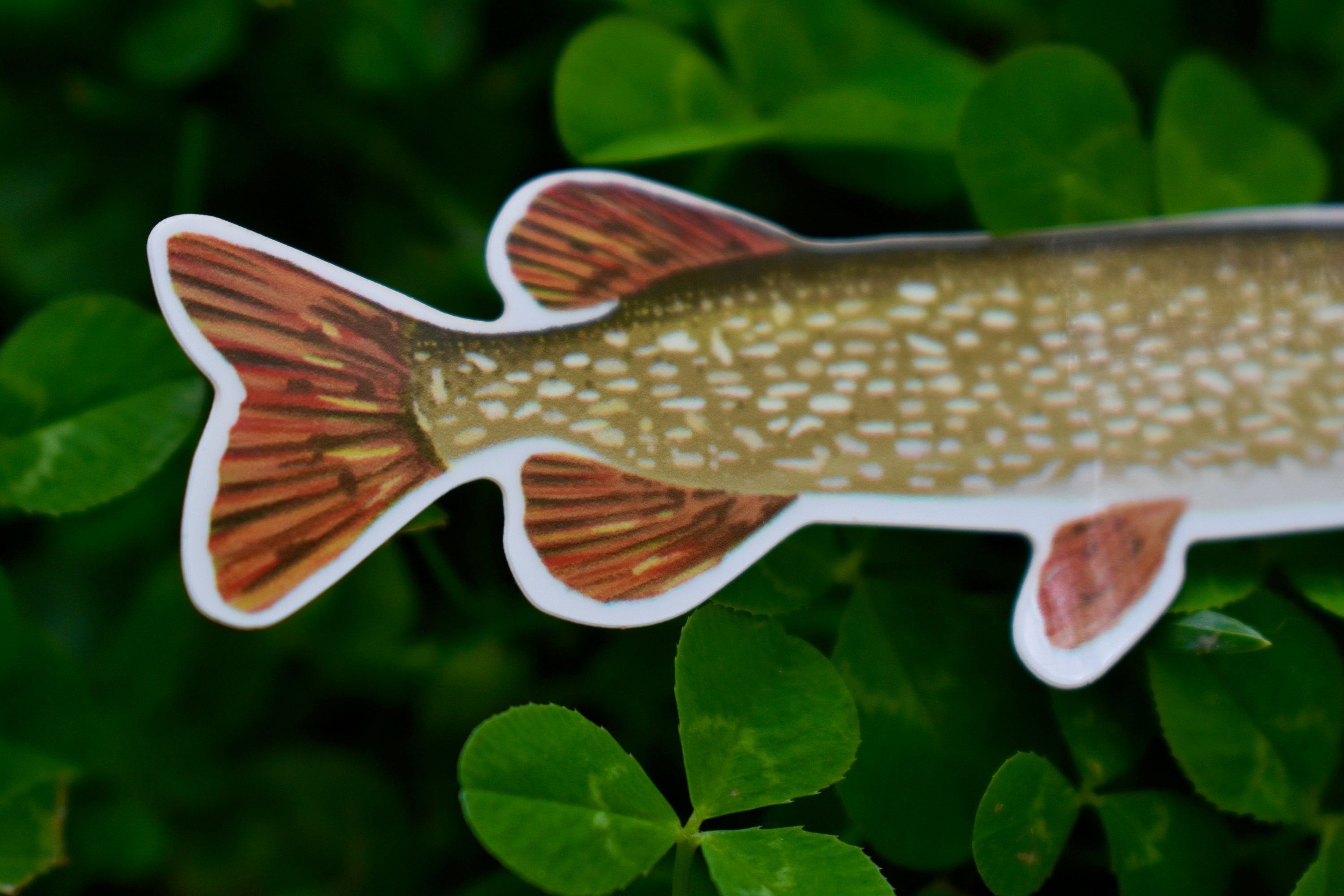 Northern Pike Sticker Waterproof Sticker Teacher Gift Fish Decal Lake ...