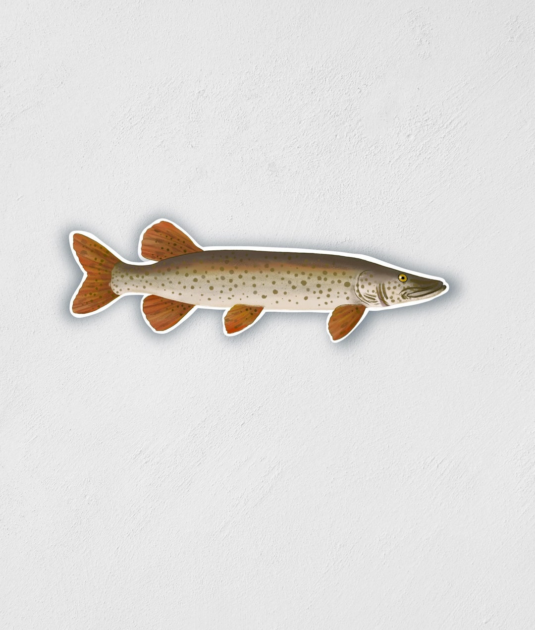 Spotted Musky Fish Sticker: Waterproof Decal, Laptop, Gear - Etsy