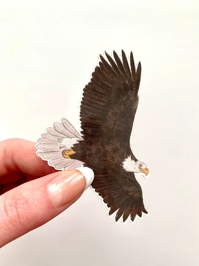 Bald Eagle Sticker Bald Eagle Birthday Gift Teacher Gift - Etsy
