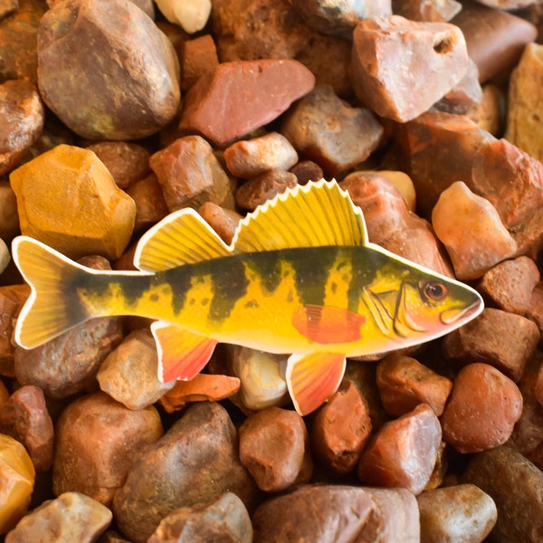 Perch Stickers - Etsy