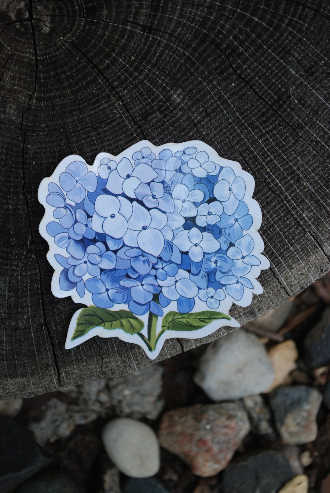 Hydrangea Sticker Flower Sticker Outdoor Sticker - Etsy