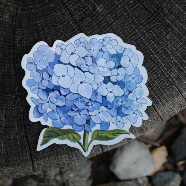 Hydrangea - Etsy