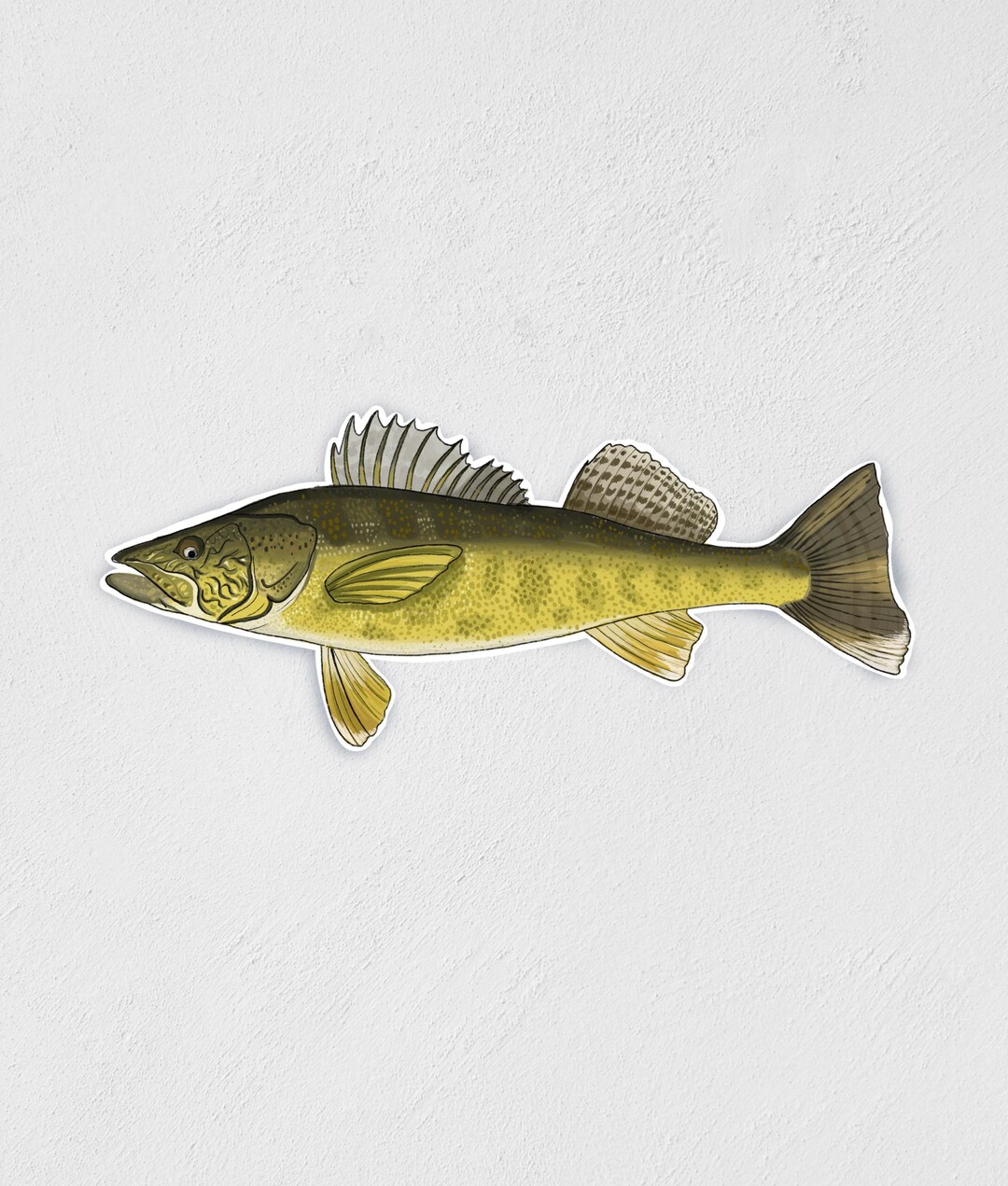 Large Walleye Sticker: Waterproof Fish Decal, Laptop/water Bottle Label ...