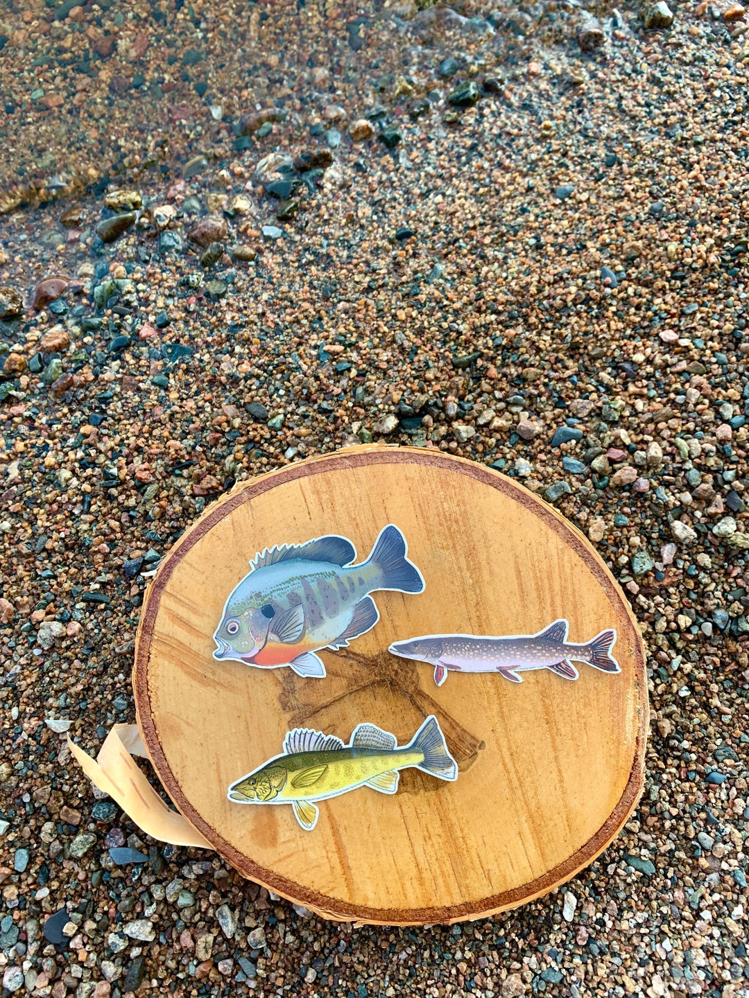 Fish Sticker Pack | Waterproof Stickers | Laptop Decal | Fish Decals ...