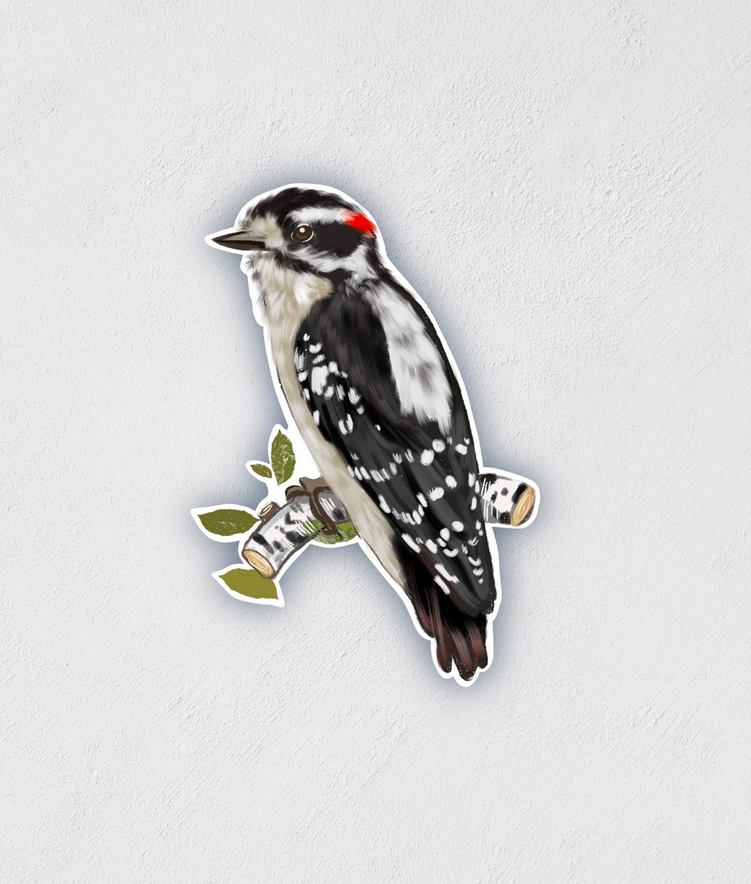 Downy Woodpecker Sticker | Midwest Bird Decal | Little Rocks Design ...