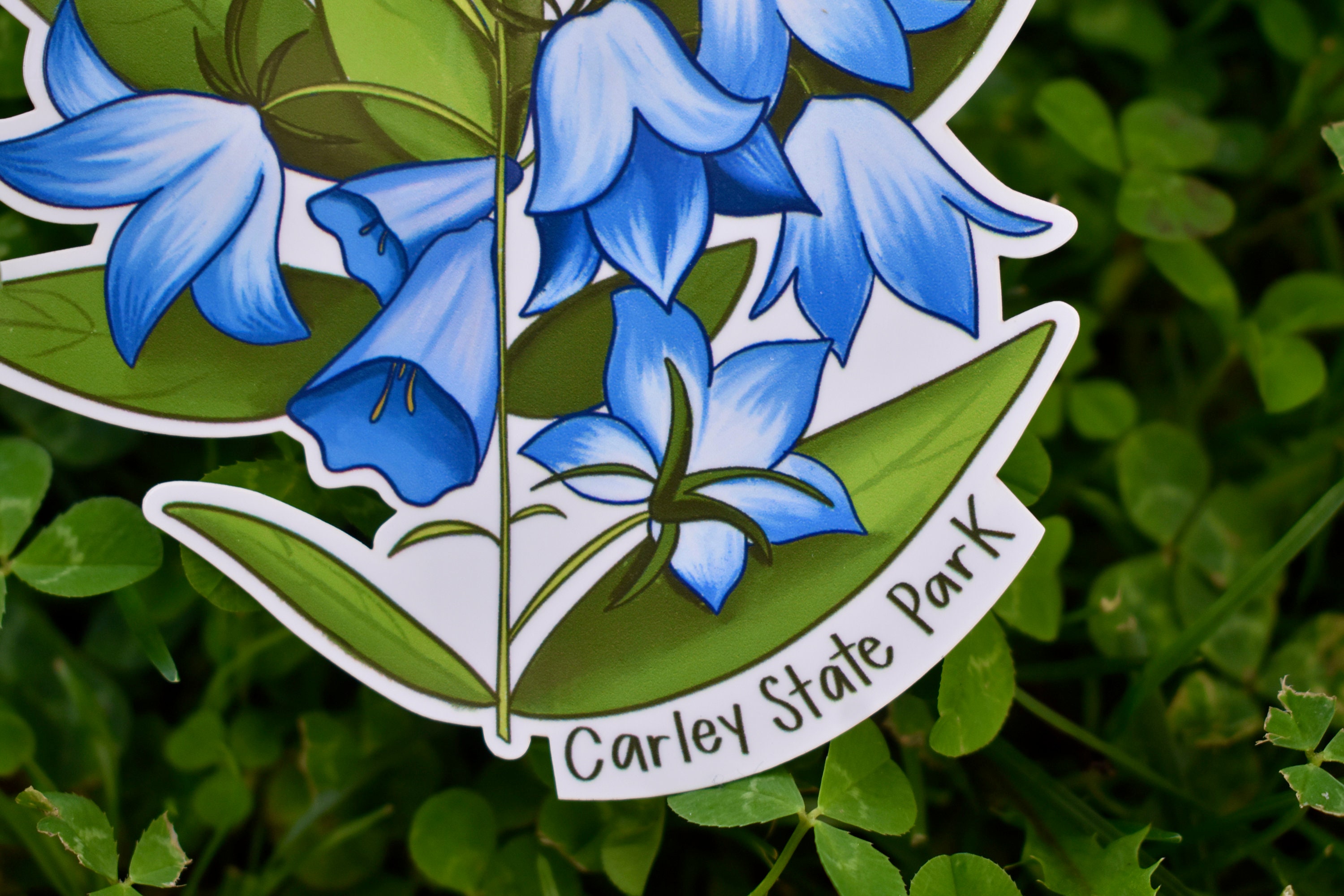 Bluebell Flower Sticker Waterproof Sticker Bluebells Decal - Etsy