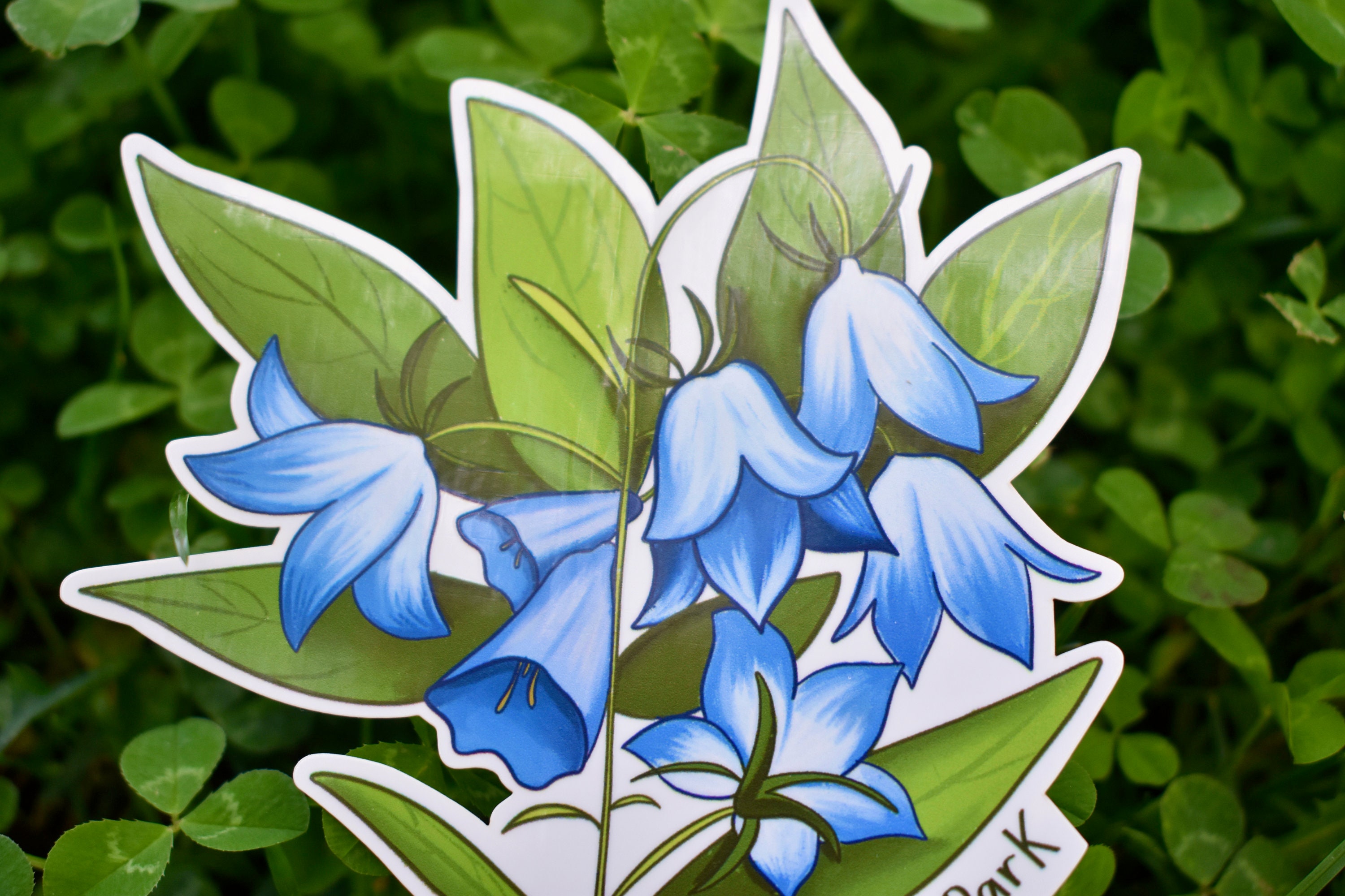 Bluebell Flower Sticker Waterproof Sticker Bluebells Decal - Etsy
