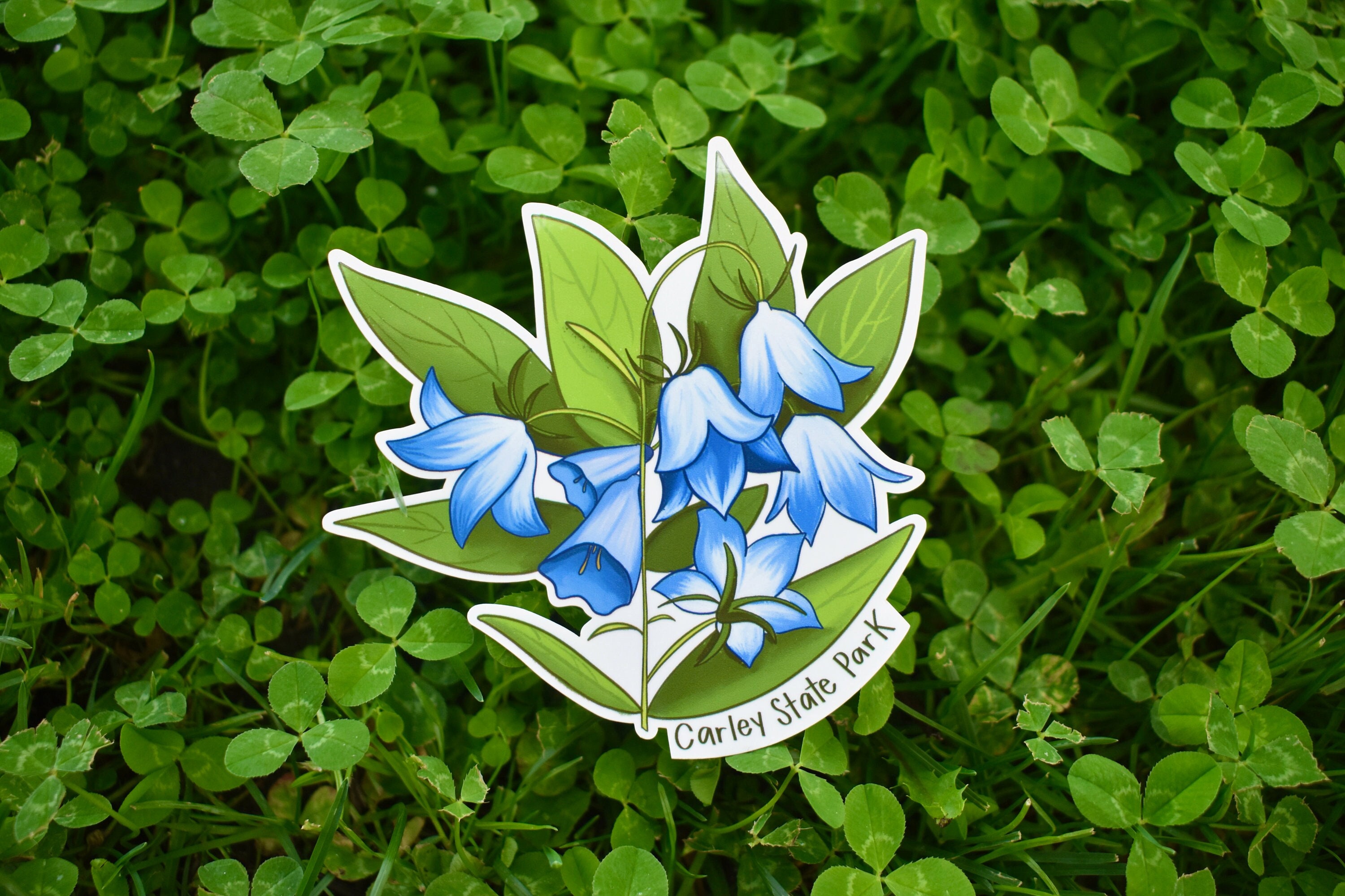 Bluebell Flower Sticker Waterproof Sticker Bluebells Decal - Etsy