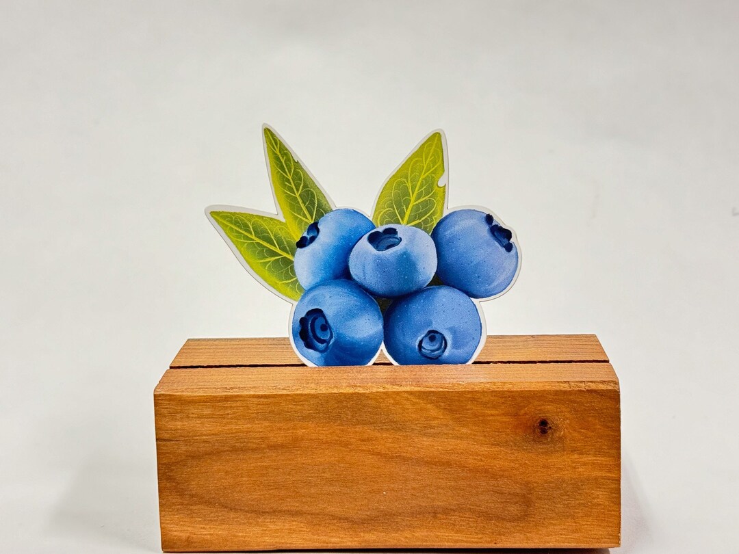 Blueberries Sticker | Waterproof Sticker | Trendy Gift | Laptop Decals ...