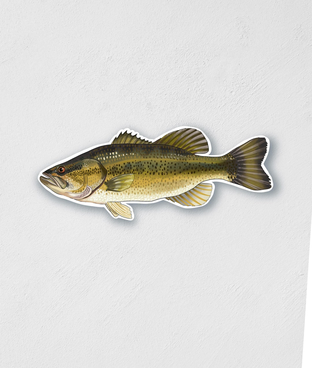 Largemouth Bass Sticker: Waterproof Lake Fish Decal - Etsy