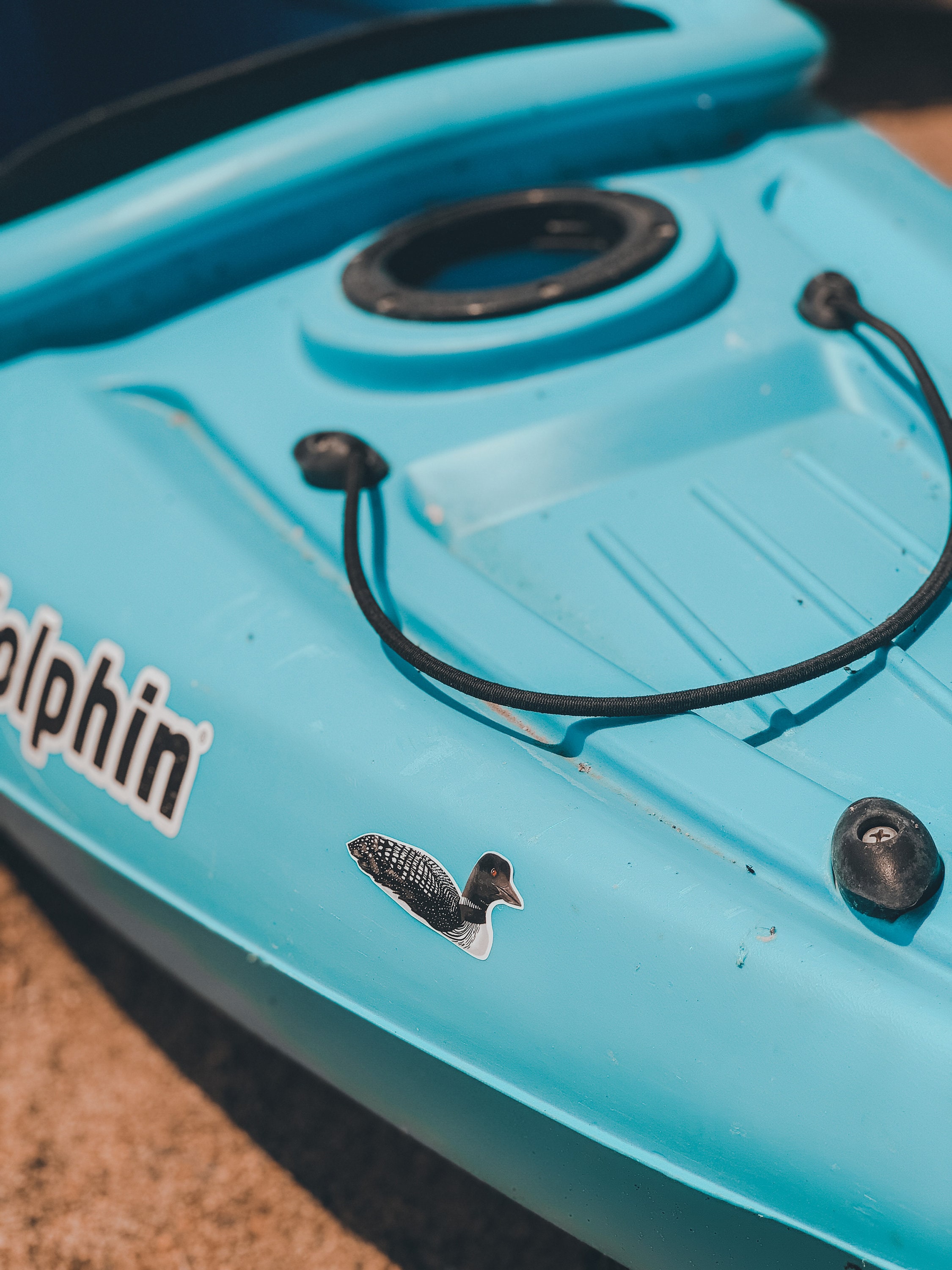 Paddle Board Sticker Waterproof Sticker Paddle Boarding Decal Lake Life ...