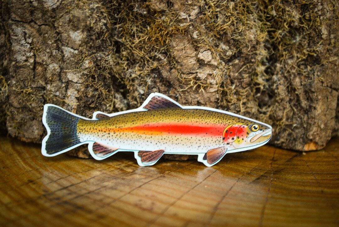 Rainbow Trout Sticker Waterproof Sticker Trout Decal Fishing Label ...
