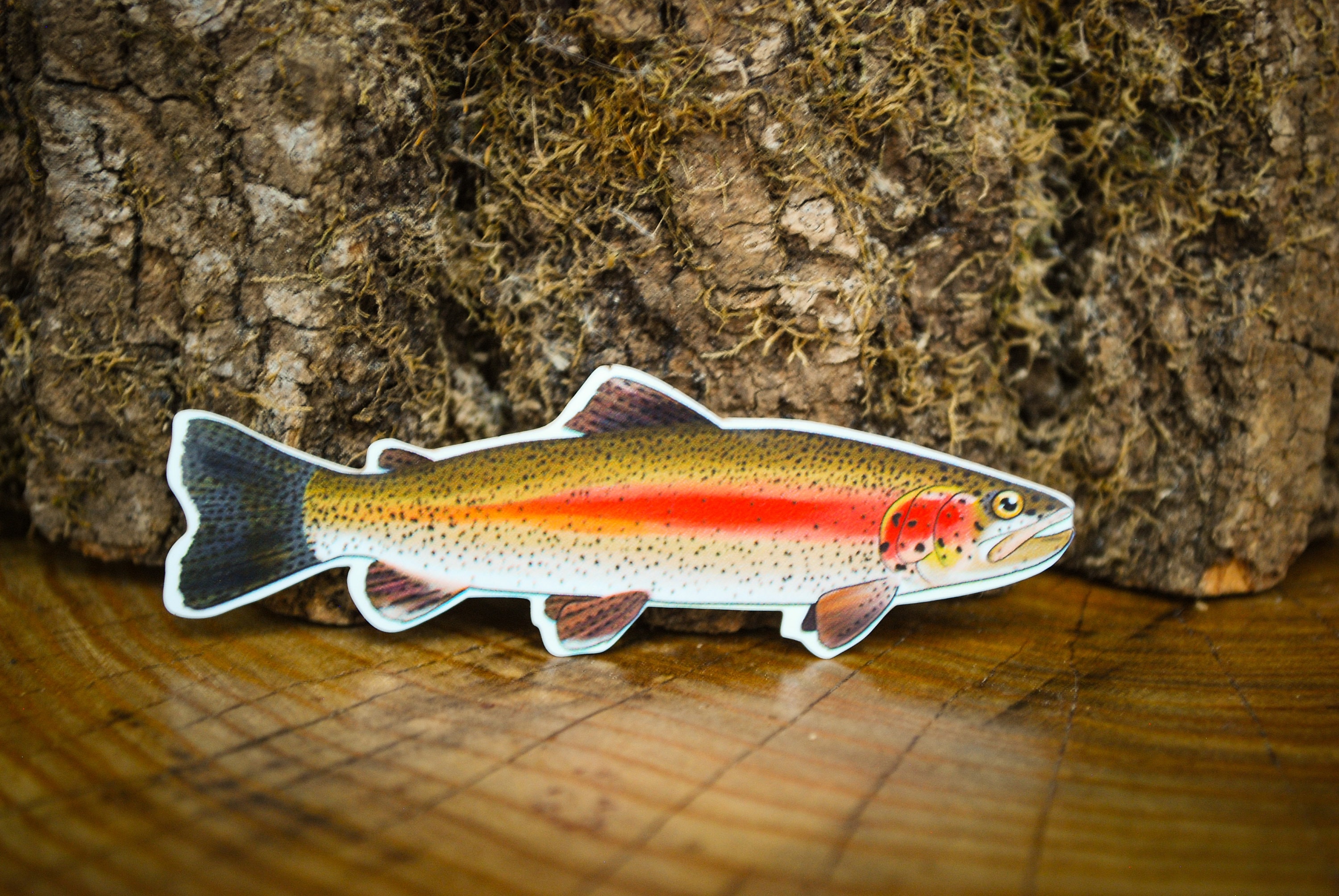 Rainbow Trout Sticker Waterproof Sticker Trout Decal Fishing Label ...