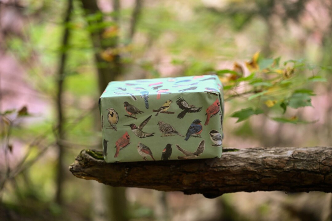 Midwest Birds Gift Wrap: Hand-drawn Illustrated Wrapping Paper - Etsy