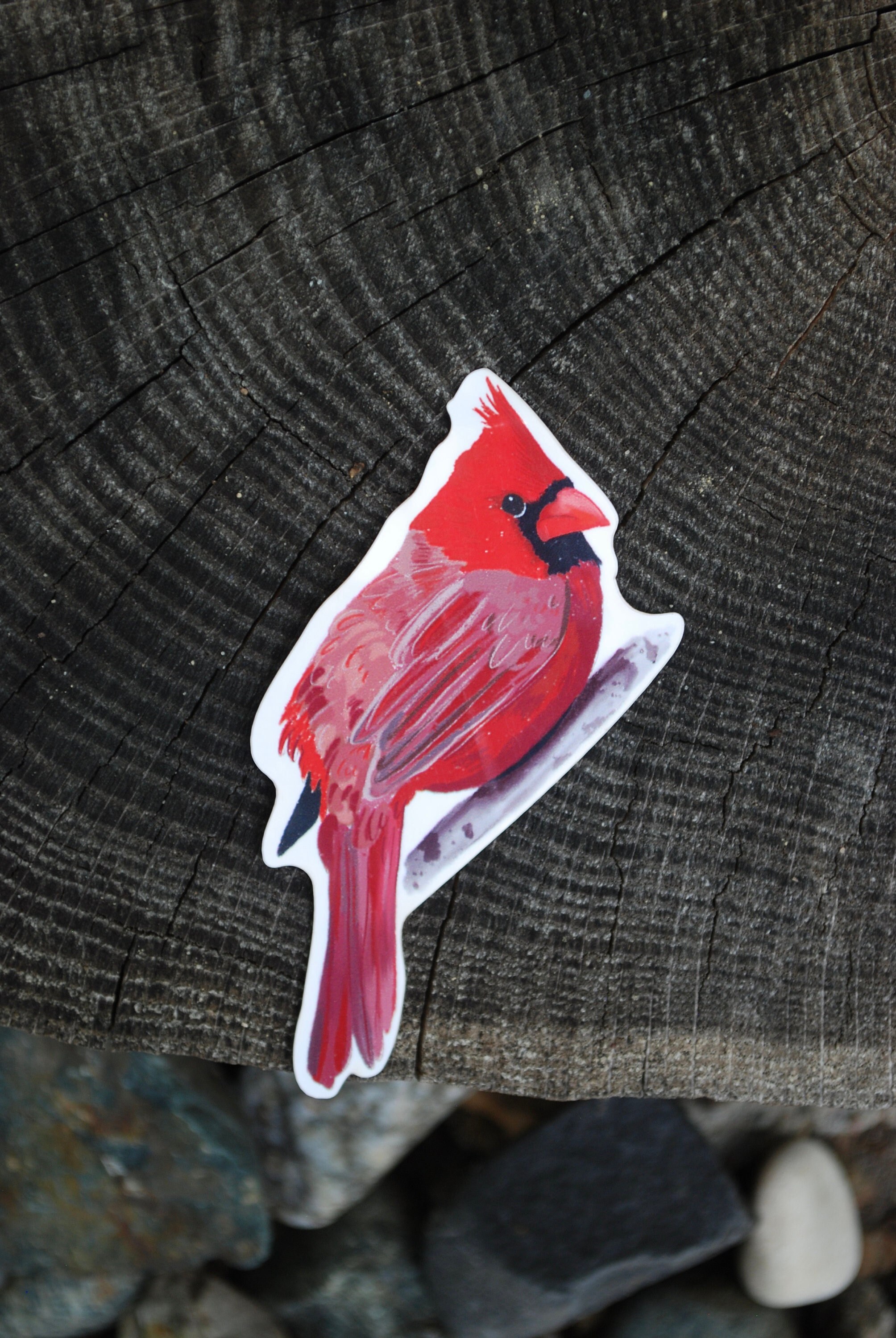 Cardinal Sticker Waterproof Sticker Laptop Sticker Bird - Etsy