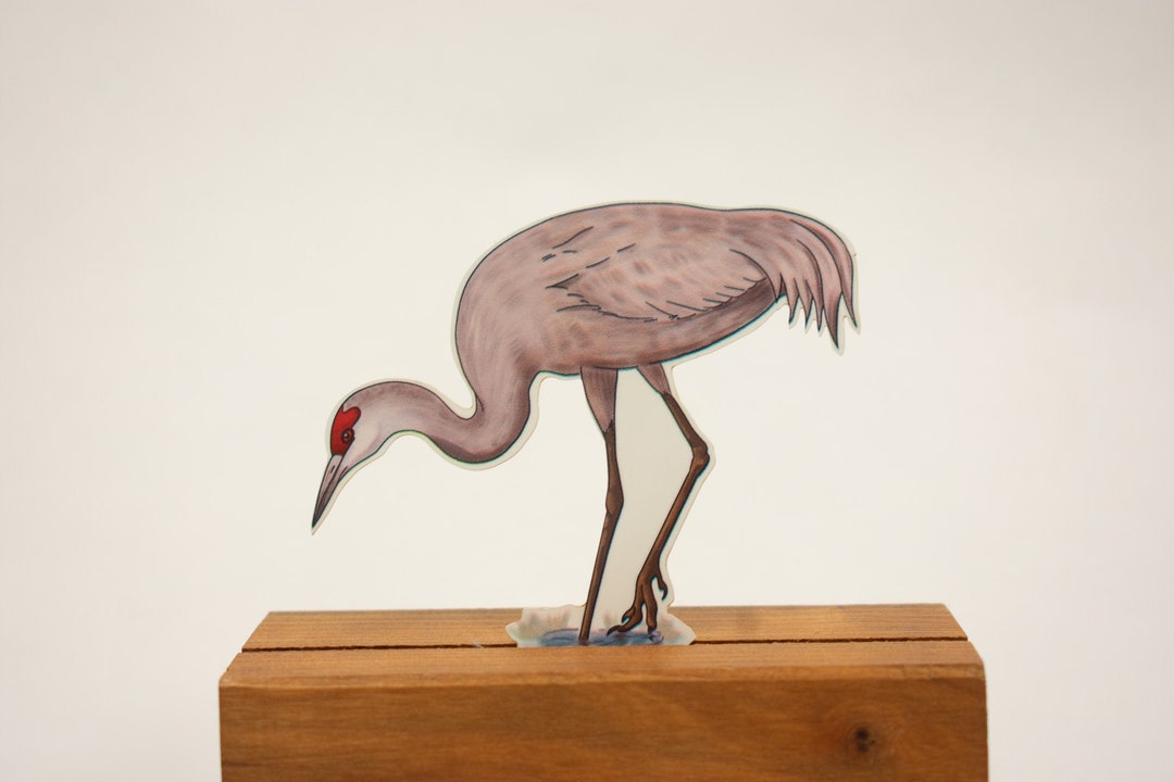 Sandhill Crane Sticker Waterproof Sticker Laptop Decal Bird Sticker ...