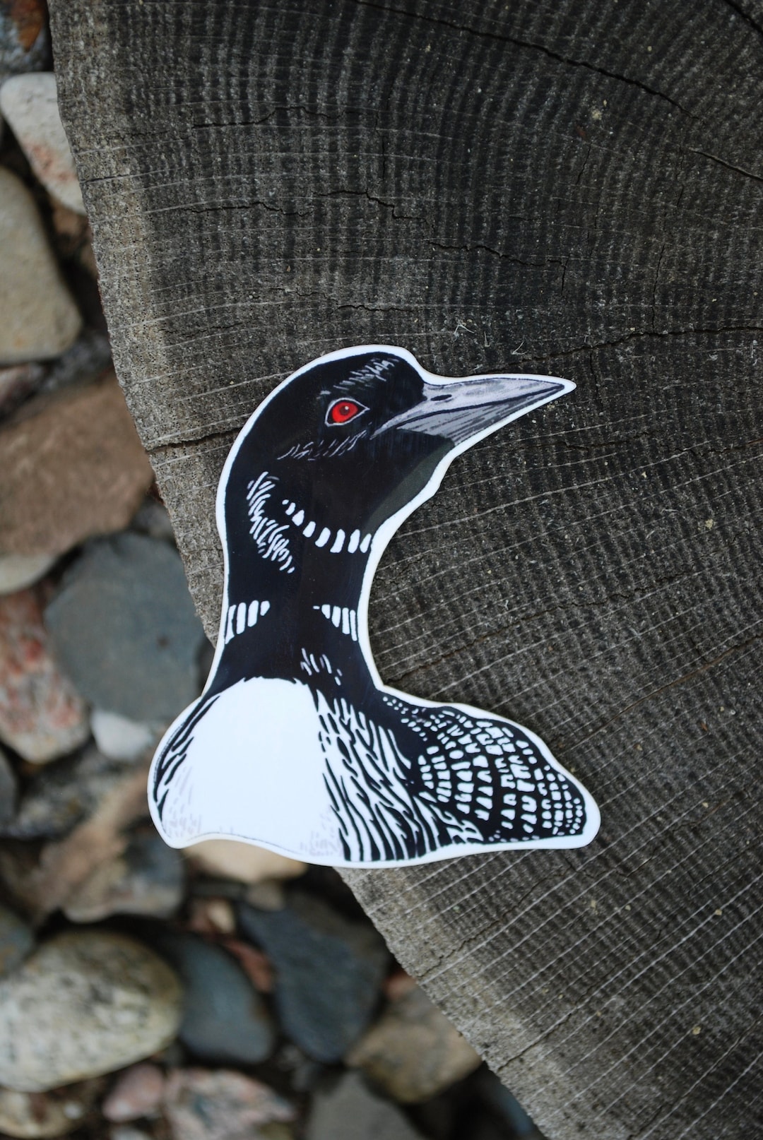 Loon Sticker Waterproof Sticker Outdoorsy Birthday Gift Laptop Decal ...