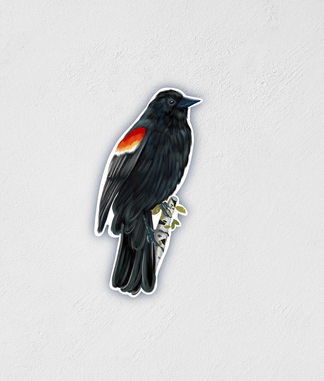 Red Wing Blackbird Sticker: Waterproof Hand-illustrated Decal - Etsy