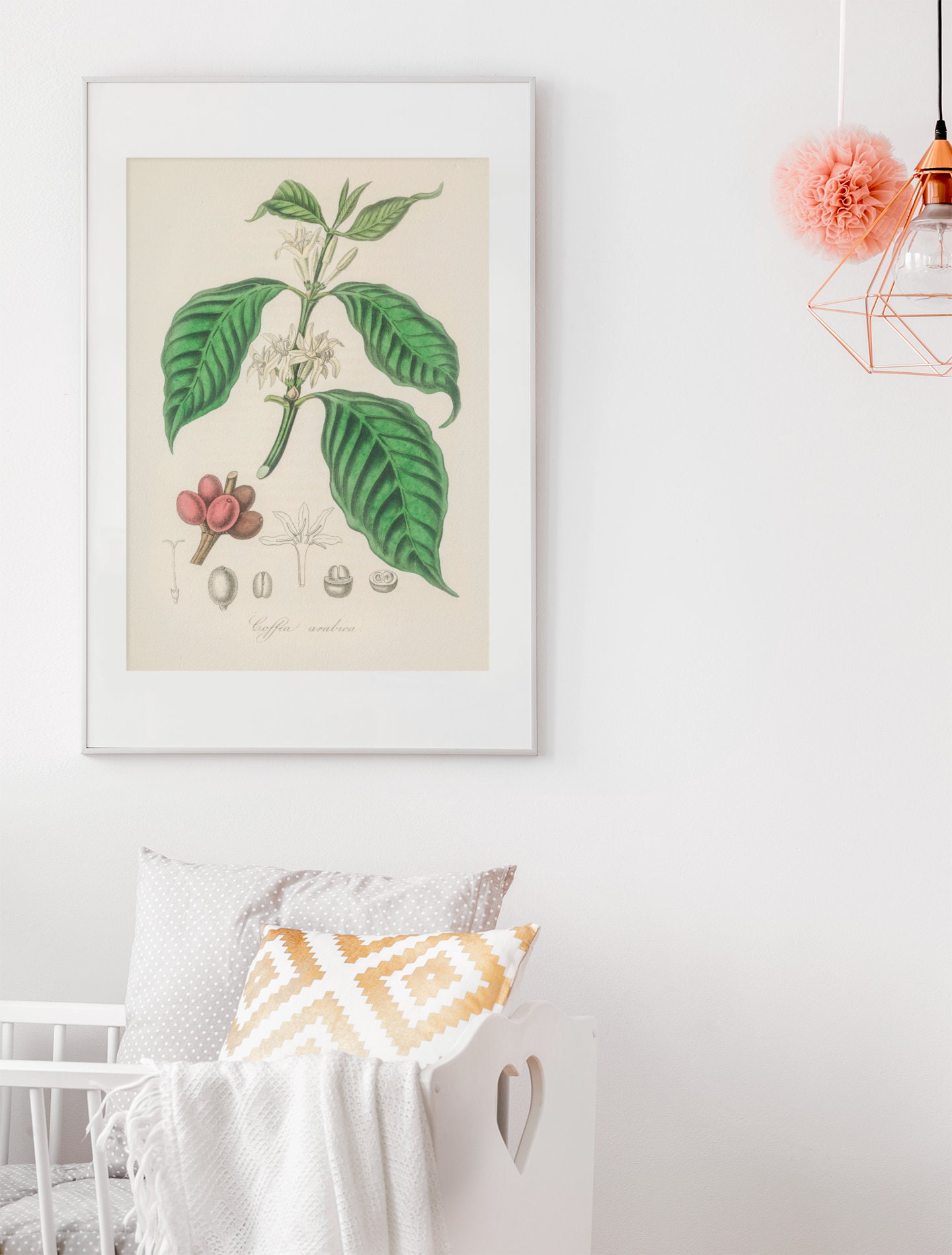 Coffee Botanical Print, Coffee Botanical Art Print, Coffee Bean ...