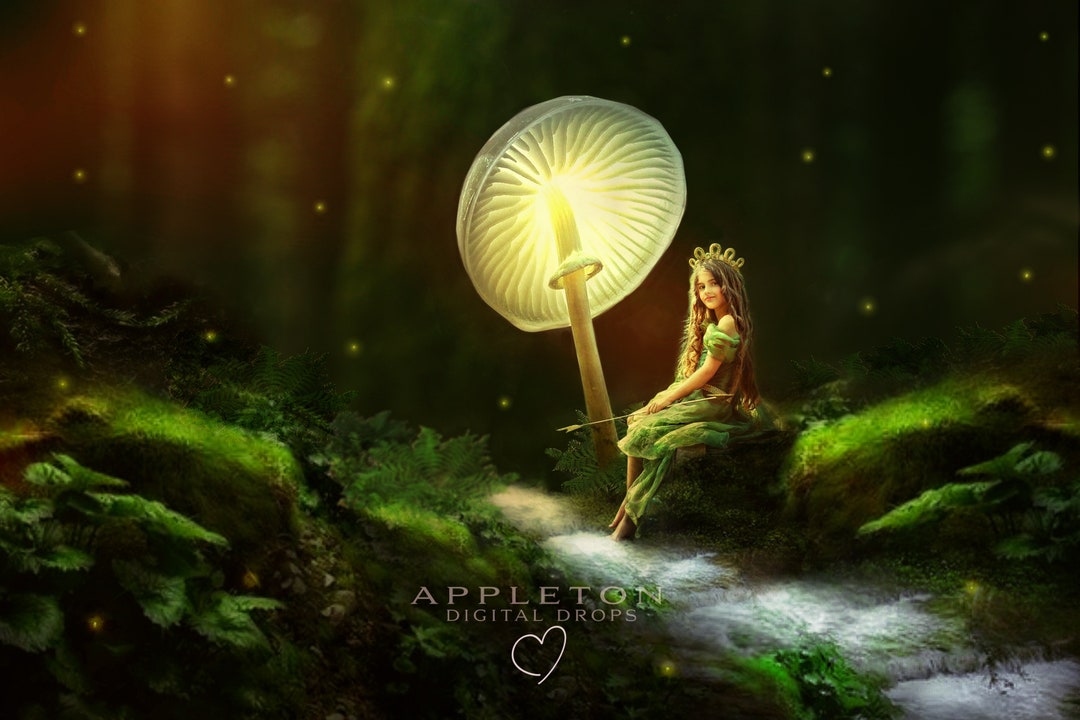 Forest Fairy Digital Background Backdrop Photography Photo - Etsy