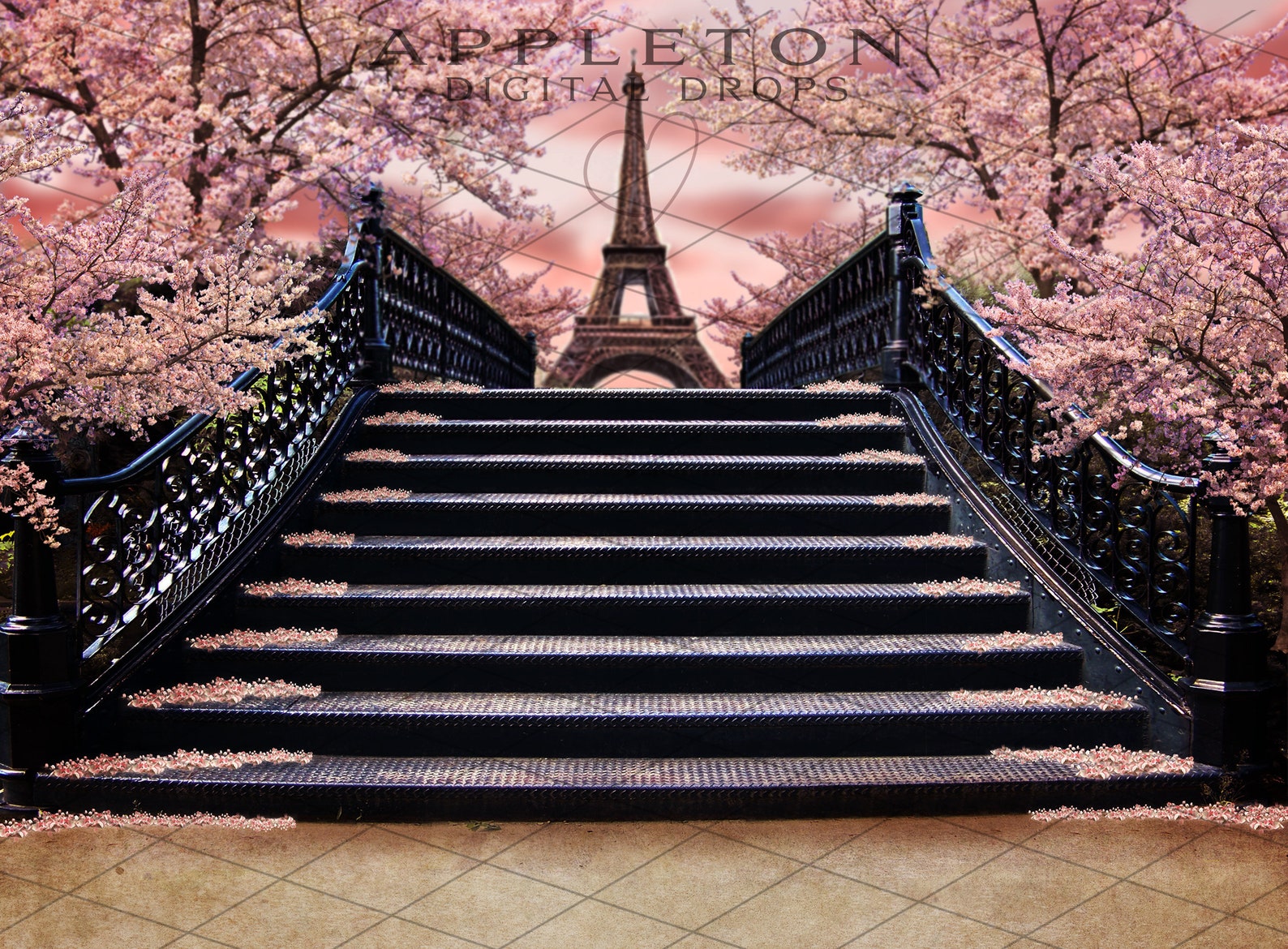 Paris in the Spring Bridge Scene Digital Background Backdrop - Etsy