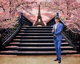 INSTANT DOWNLOAD Paris Paris Digital Background for Ps and - Etsy