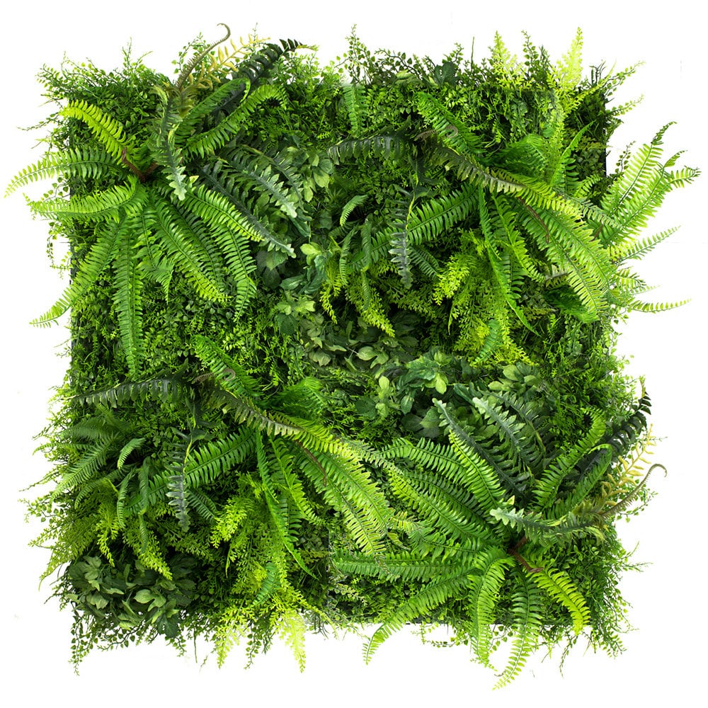 Artificial Plant Wall - Wild Fern - Green Wall Indoor - Plant Vertical ...