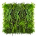 Artificial Plant Wall - Limba Widerness - Green Wall Indoor - Plant ...