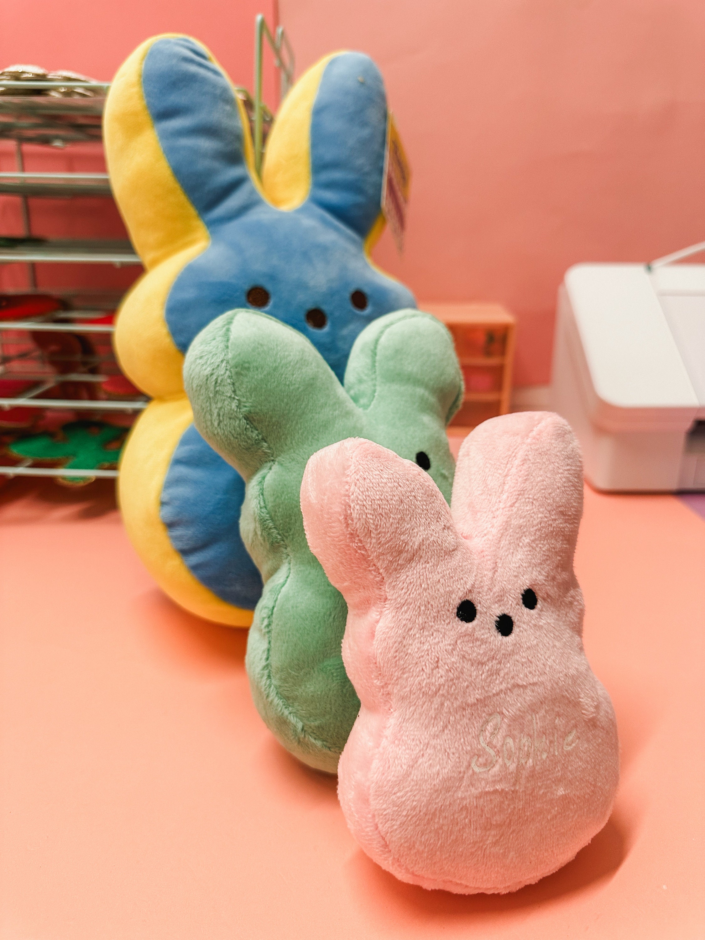 Personalized Peep Plushies, Easter Peeps, Custom Peep - Etsy