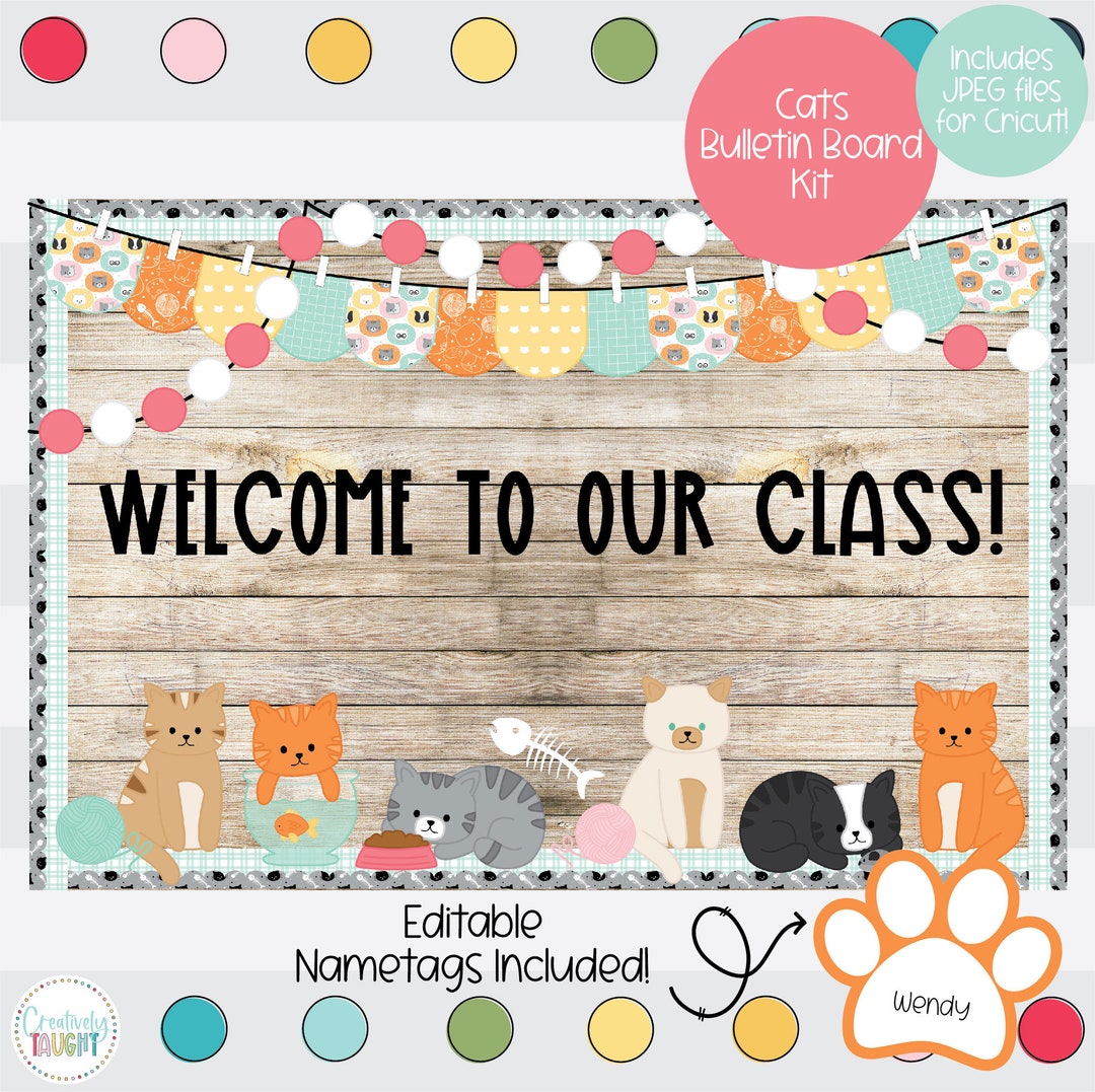 Cats - Back to School Bulletin Board - Etsy