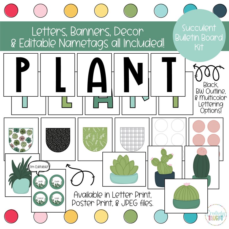 Succulent - Plant Theme - Back to School Bulletin Board Kit - Etsy
