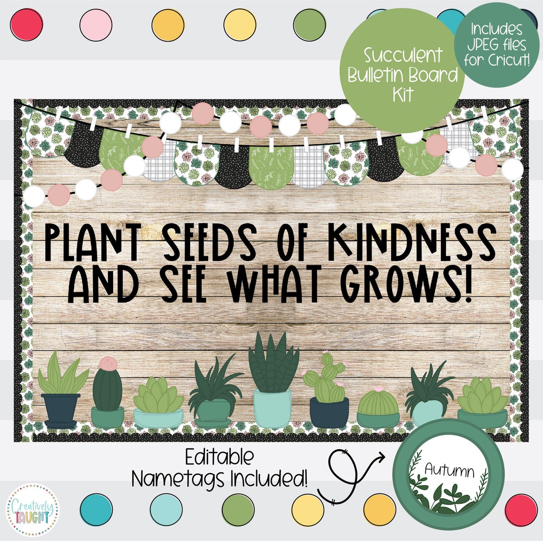 Succulent Plant Theme Back to School Bulletin Board Kit - Etsy