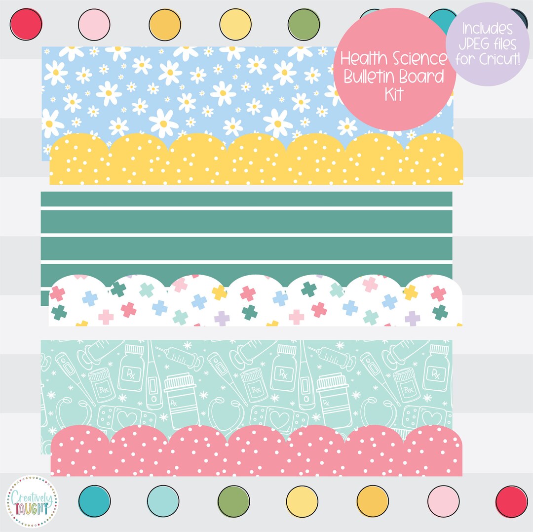 Health Science Bulletin Board Borders - Etsy
