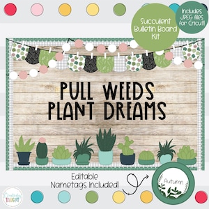 Succulent Plant Theme Back to School Bulletin Board Kit - Etsy