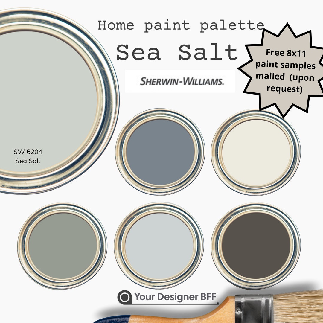 Sea Salt Sherwin Williams SW 6204, Modern Coastal Paint Scheme ...