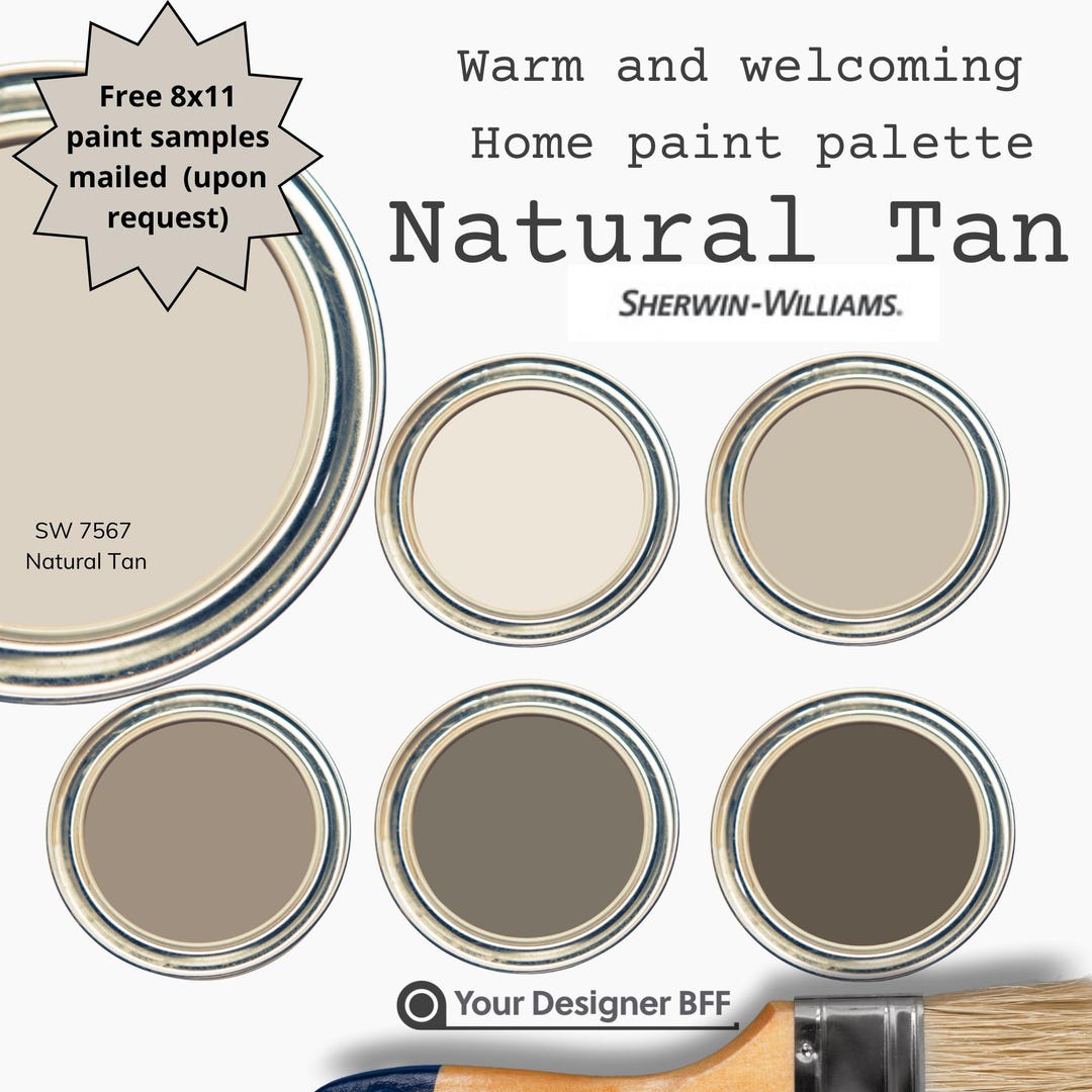 Cozy Color Palette to Complement SW 7567 Natural Tan – Warm & Timeless ...