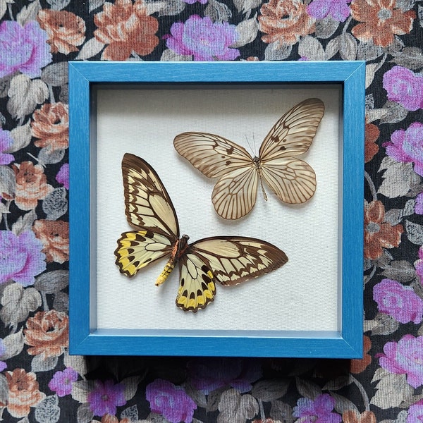 Rice Paper Butterfly - Etsy