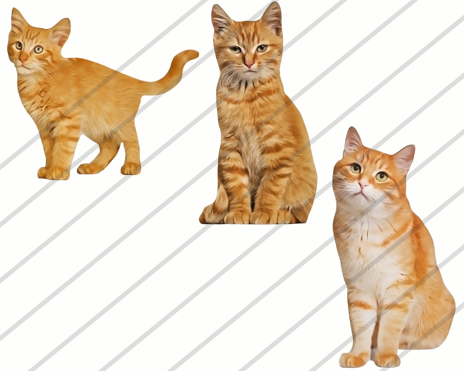 WATERCOLOR GINGER CATS Clipart Kitten Clip Art Animal Clip - Etsy