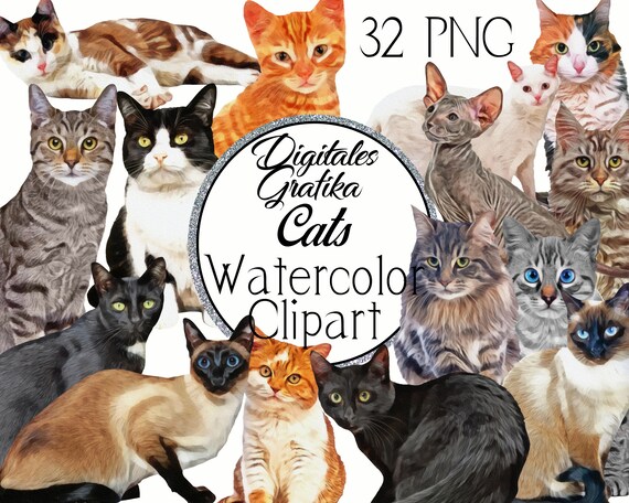 WATERCOLOR CATS CLIPART Kitten Clip Art Animal Clip Art - Etsy