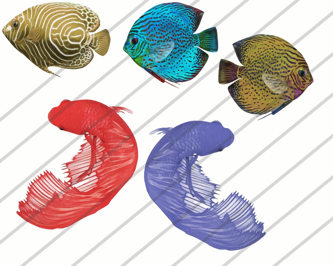 WATERCOLOR AQUARIUM FISH Clipart Fish Clipart Designer Clip | Etsy