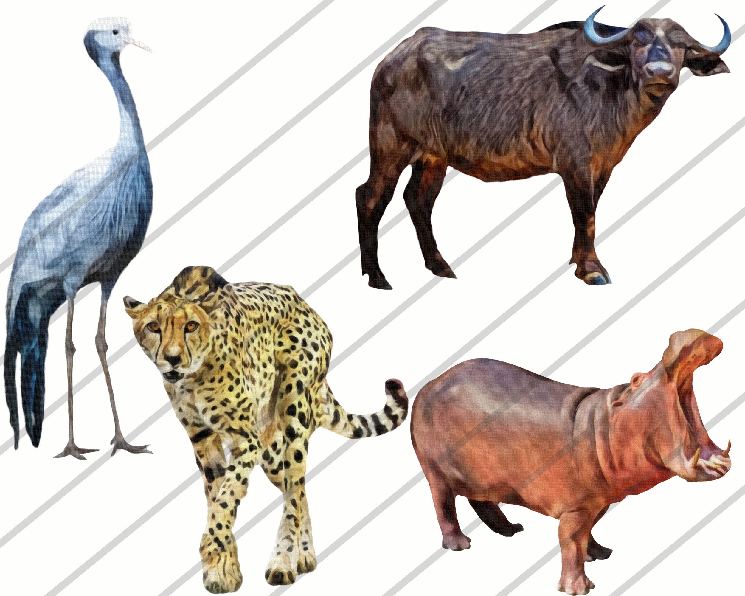 WATERCOLOR AFRICAN ANIMALS Clip Art African Clip Art Animal - Etsy