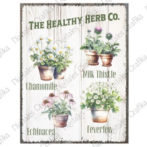 VINTAGE HERB SIGNS, the Herbalist Sign, Herb Poster, Wall Art, Flowers ...