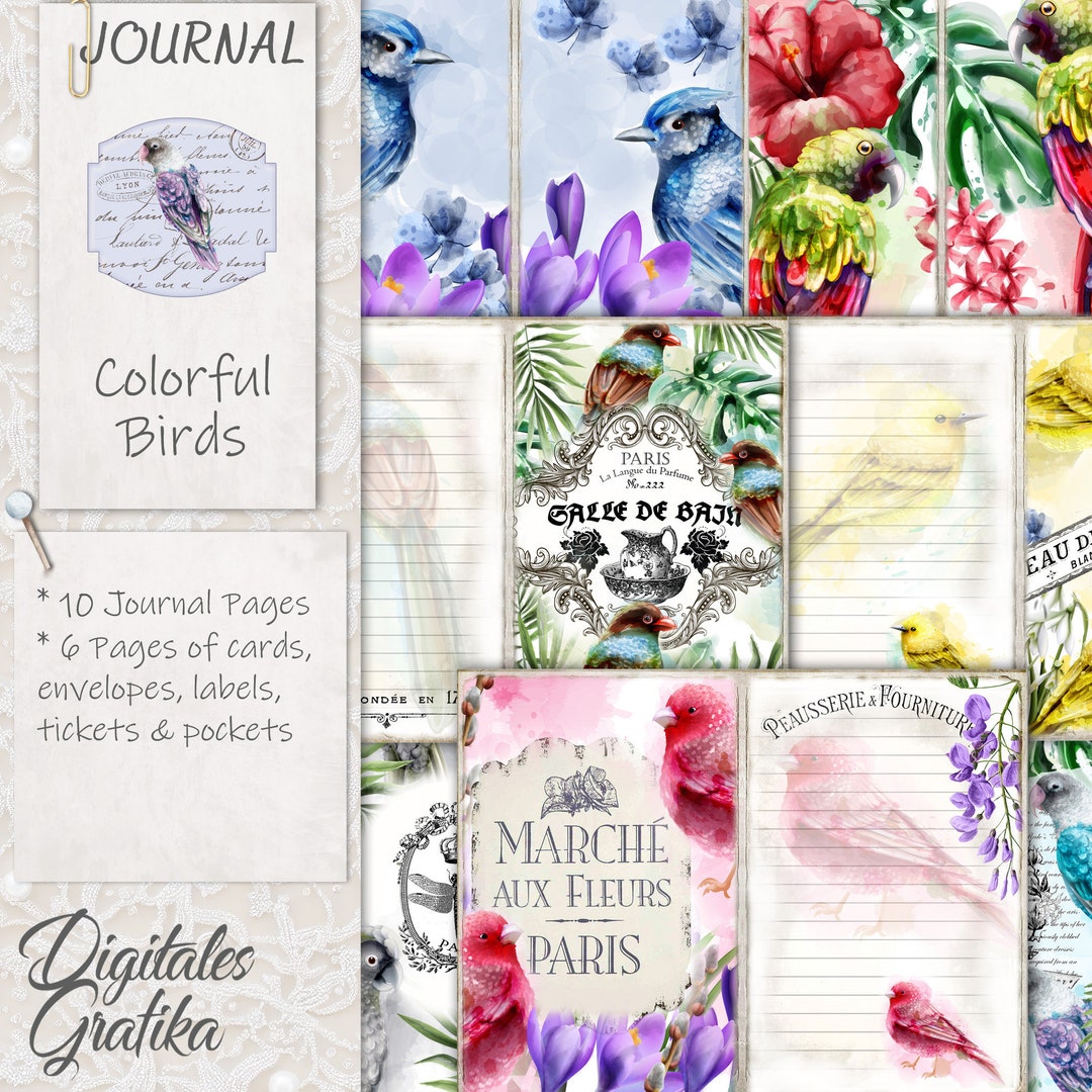 COLORFUL BIRDS JOURNAL Kit, Pages, Envelopes, Watercolor Birds, Paper ...
