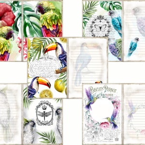 COLORFUL BIRDS JOURNAL Kit, Pages, Envelopes, Watercolor Birds, Paper ...