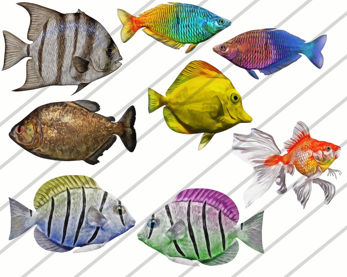 WATERCOLOR AQUARIUM FISH Clipart Fish Clipart Designer Clip | Etsy