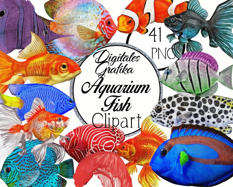 WATERCOLOR AQUARIUM FISH Clipart Fish Clipart Designer Clip | Etsy