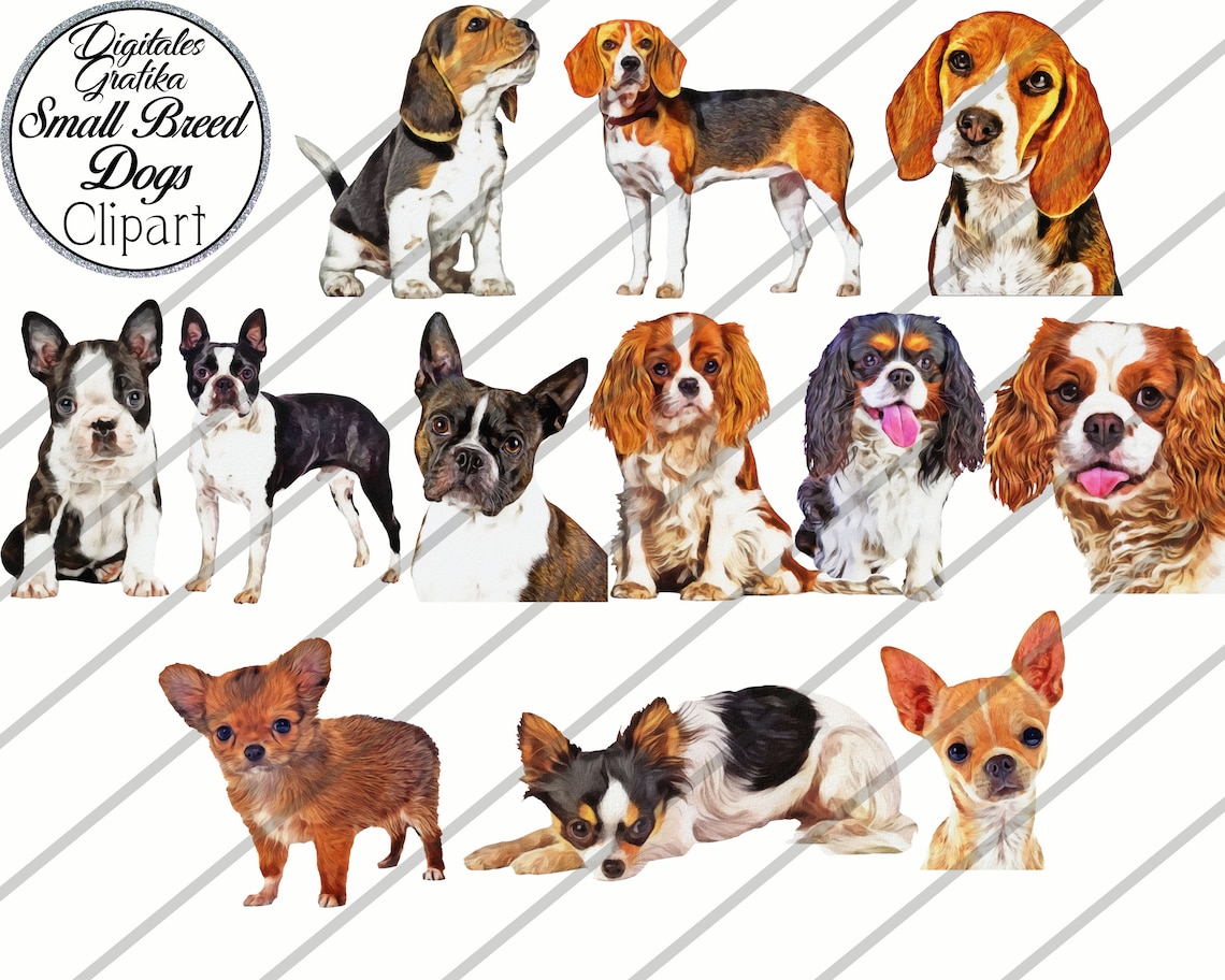 WATERCOLOR SMALL DOG Breeds Clipart Puppy Clip Art Animal - Etsy