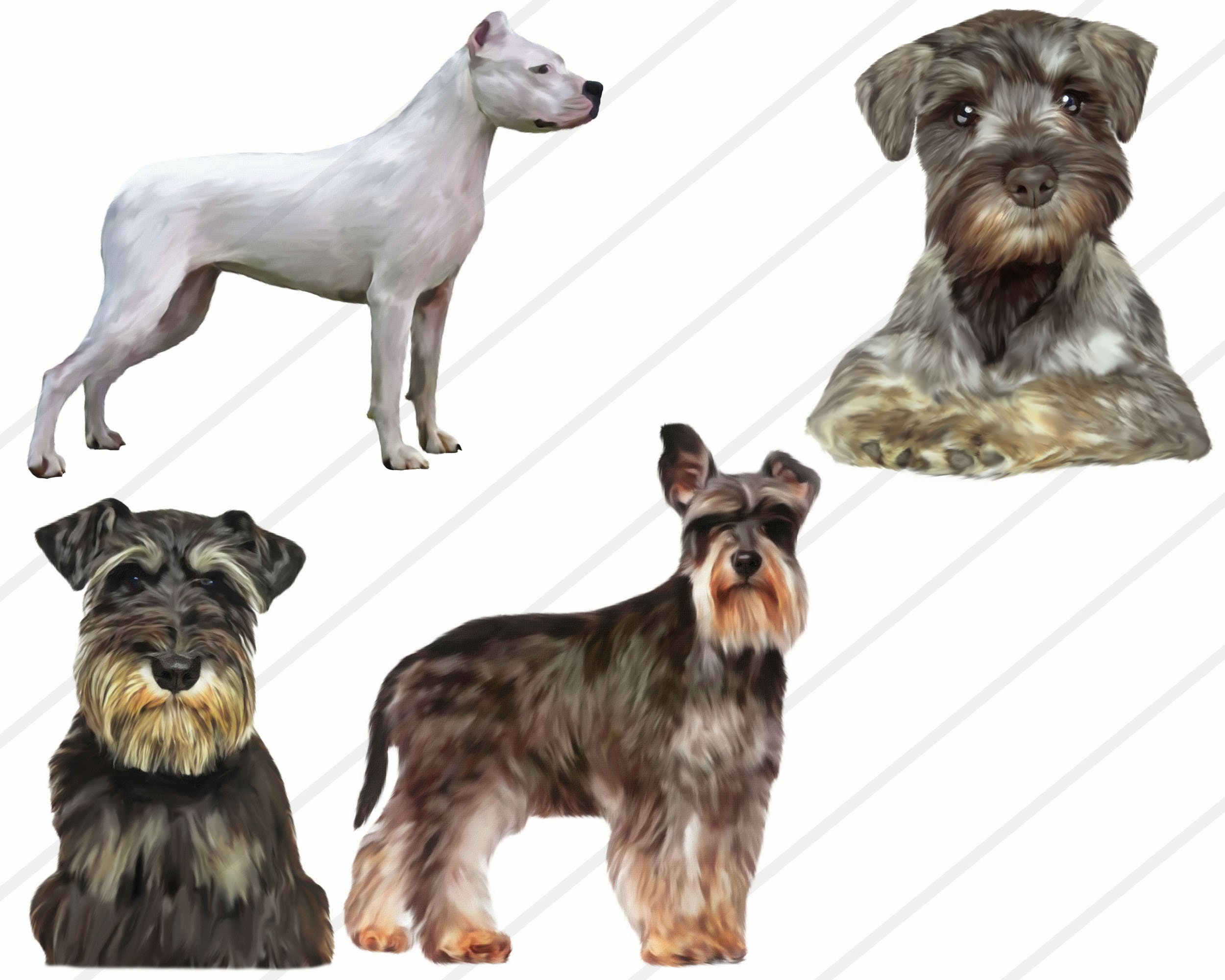 WATERCOLOR TERRIER CLIPART Dog Clip Art Animal Clip Art - Etsy