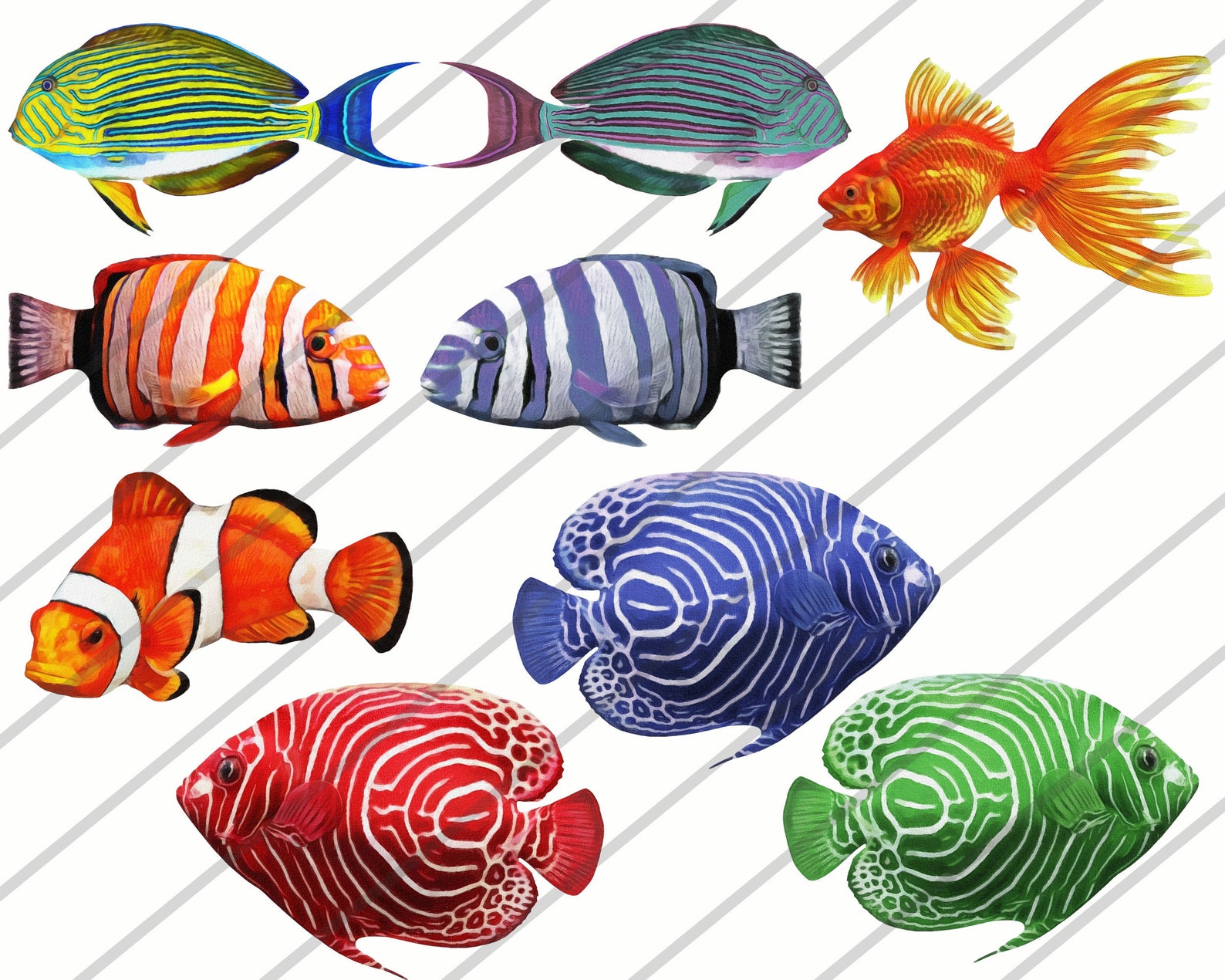 WATERCOLOR AQUARIUM FISH Clipart Fish Clipart Designer Clip | Etsy