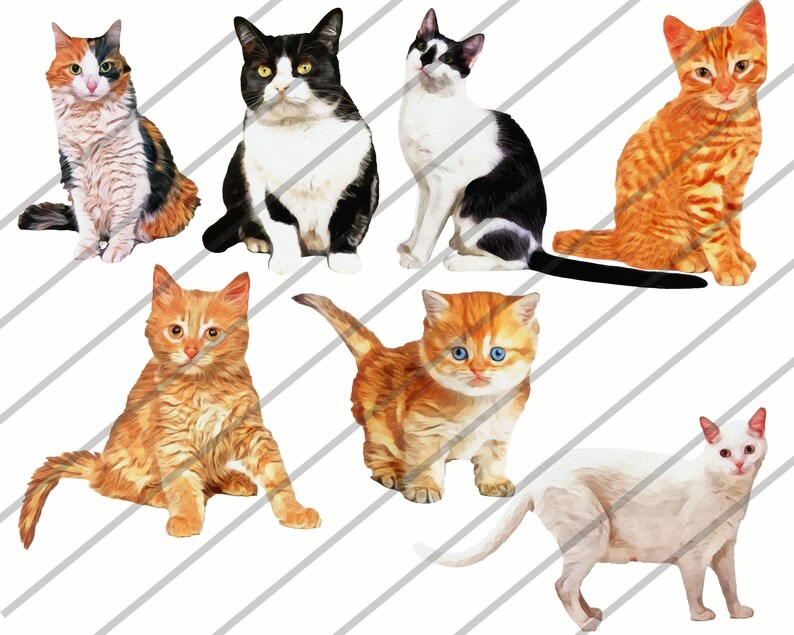 WATERCOLOR CATS CLIPART Kitten Clip Art Animal Clip Art - Etsy
